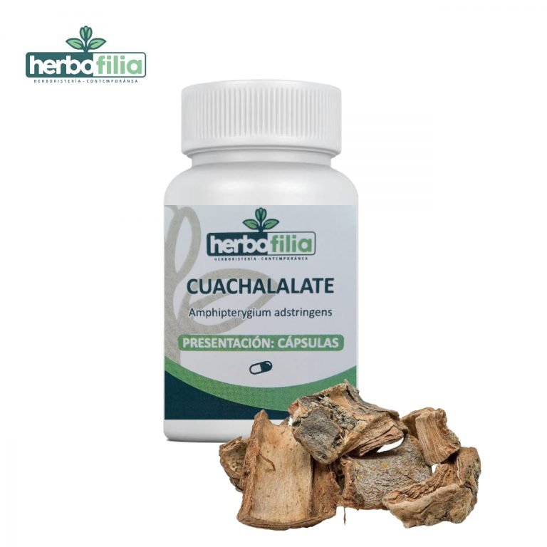 60 cápsulas de Cuachalalate (Amphipterygium adstringens) | Herbofilia