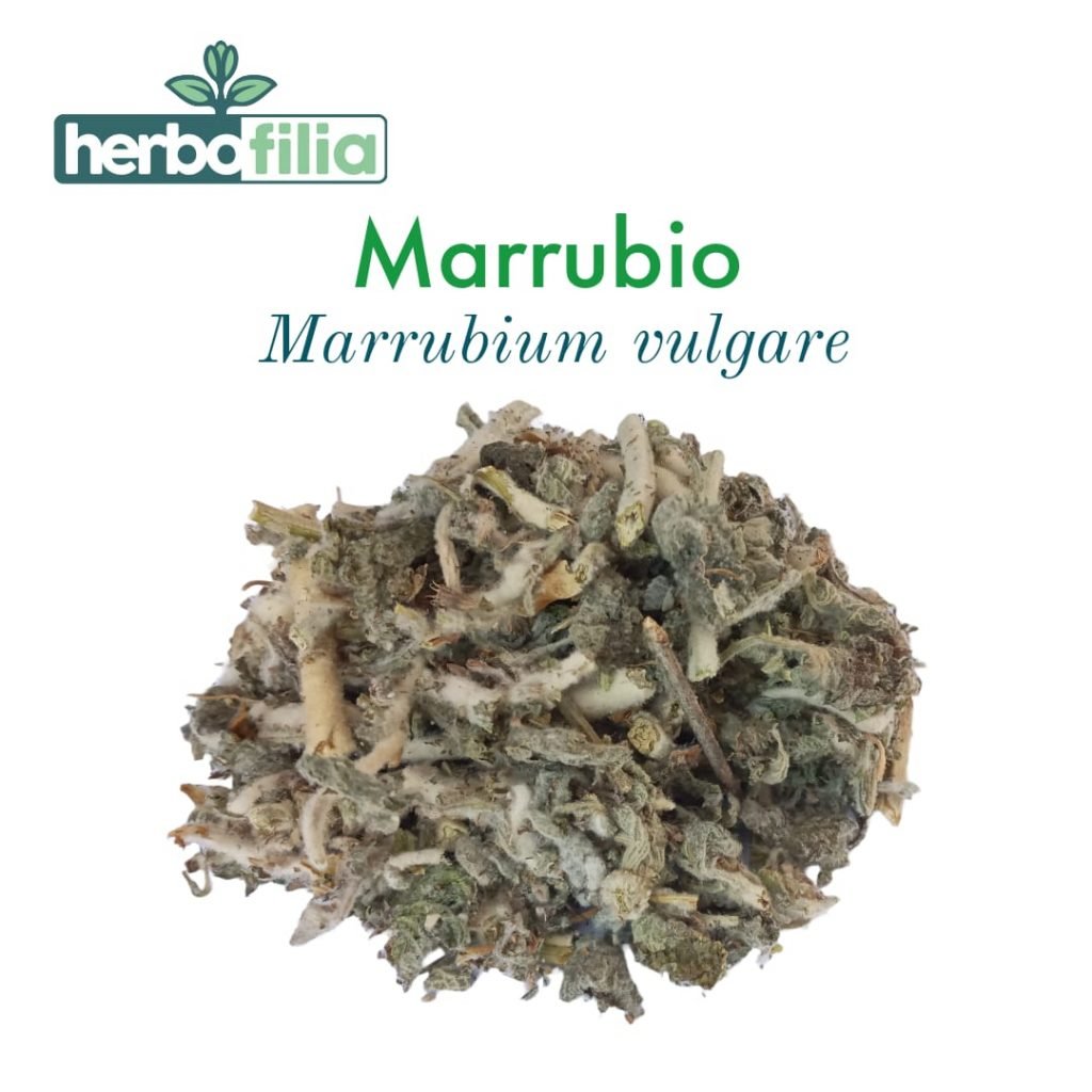 Marrubio – Marrubium vulgare 500grs Deshidratado | Herbofilia