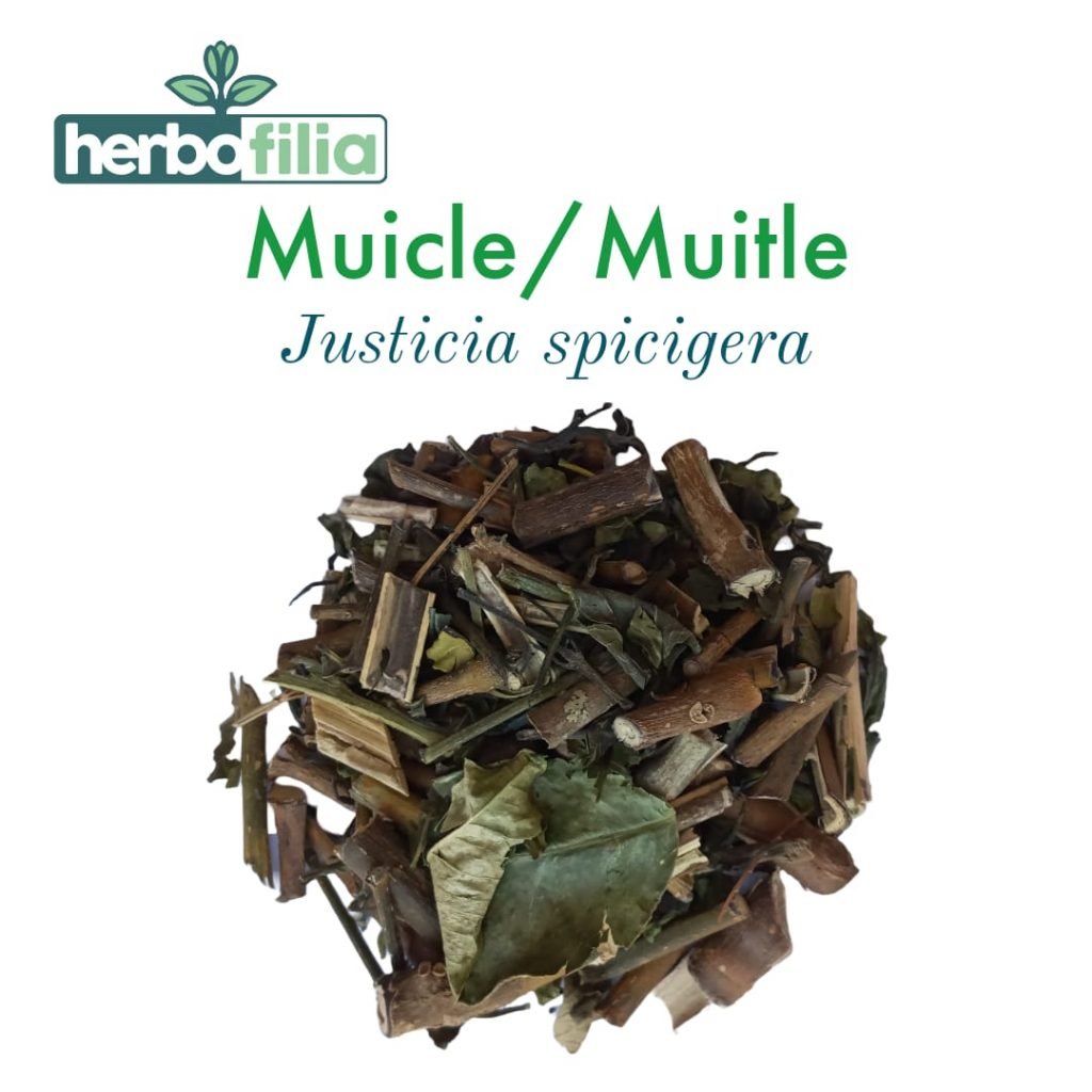 Muicle o Muitle – Justicia spicigera 500grs Deshidratado | Herbofilia