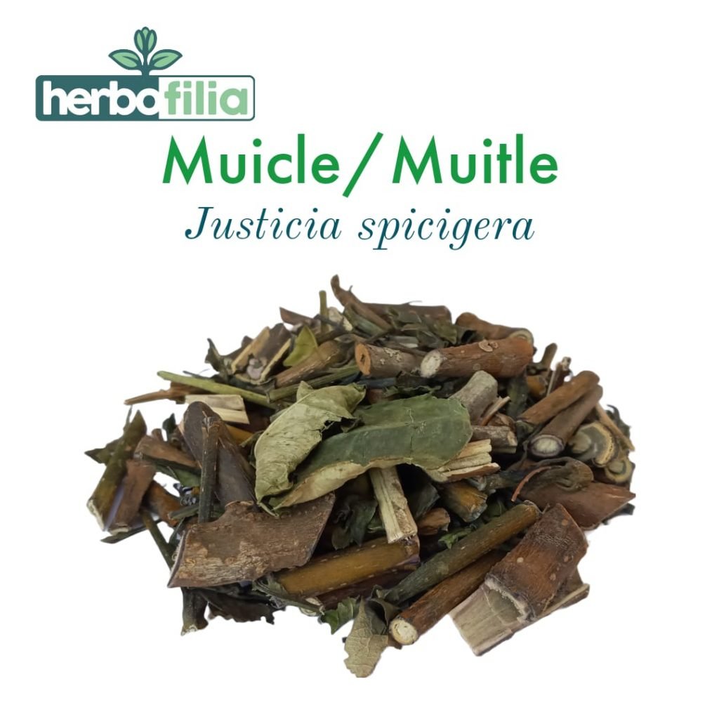 Muicle o Muitle – Justicia spicigera 500grs Deshidratado | Herbofilia