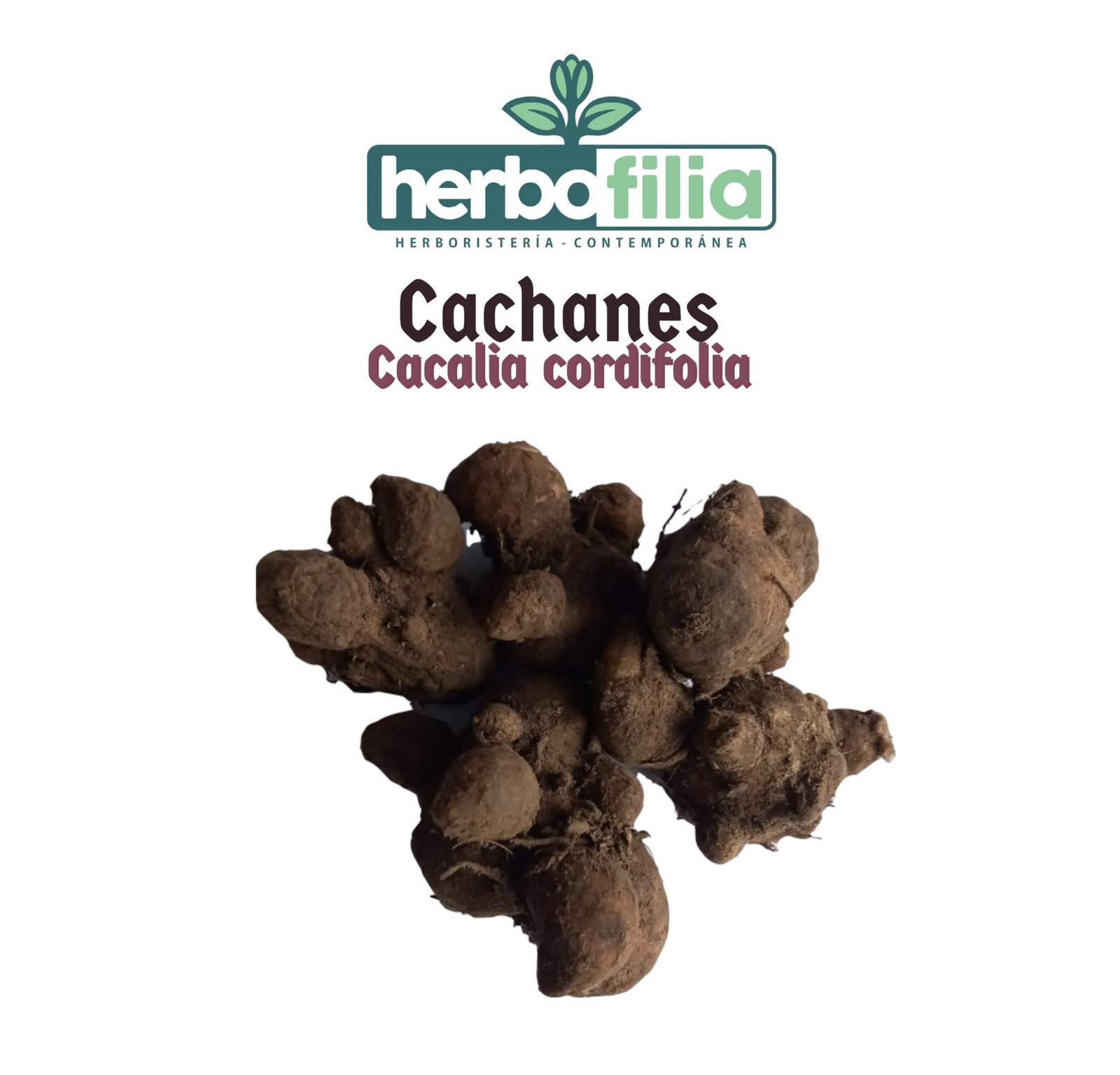 Raíz de Cachanes – Cacalia cordifolia 250grs deshidratada | Herbofilia